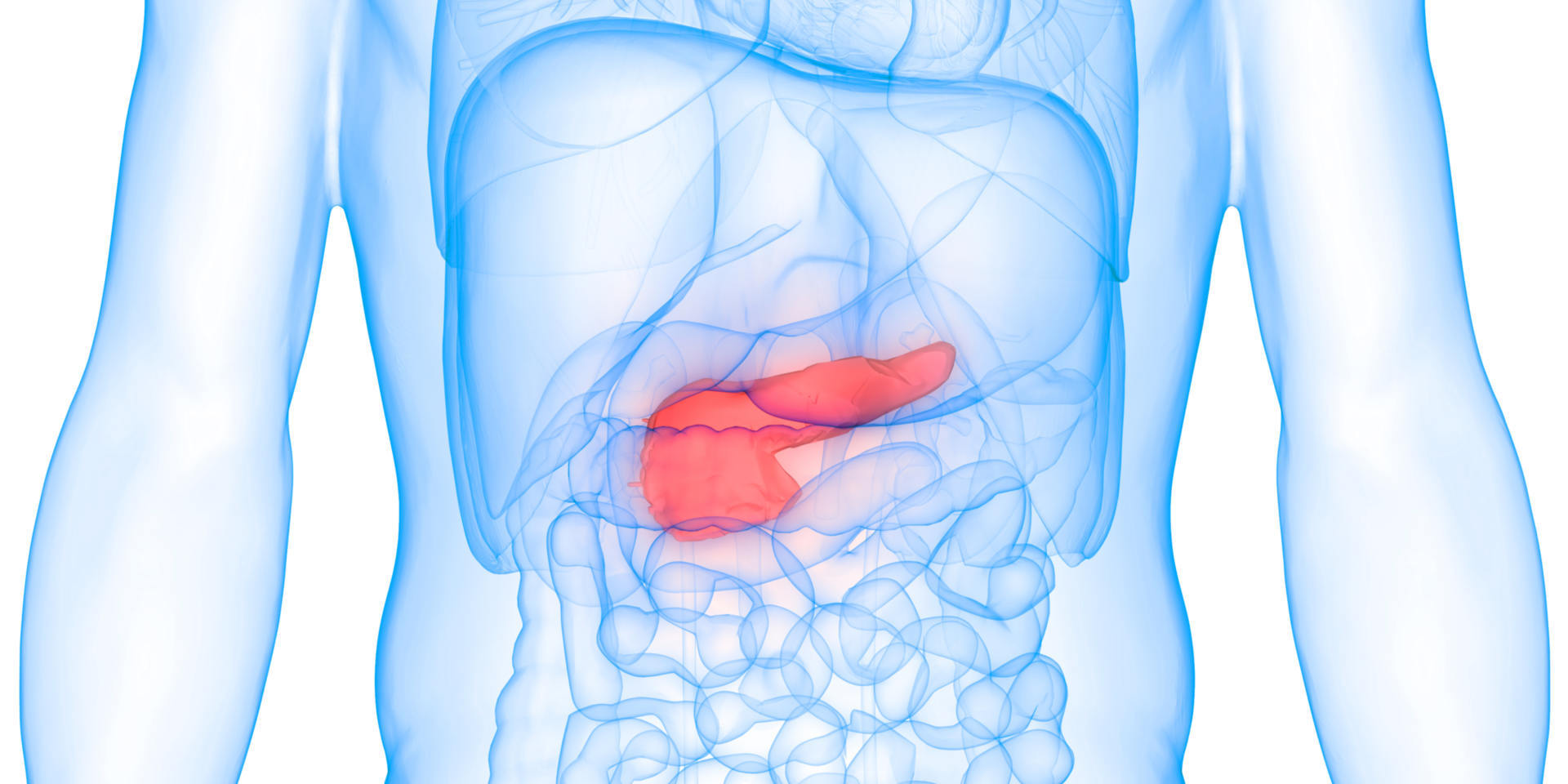 Cisti al pancreas, cosa sono e come prevenirle - Humanitas Salute