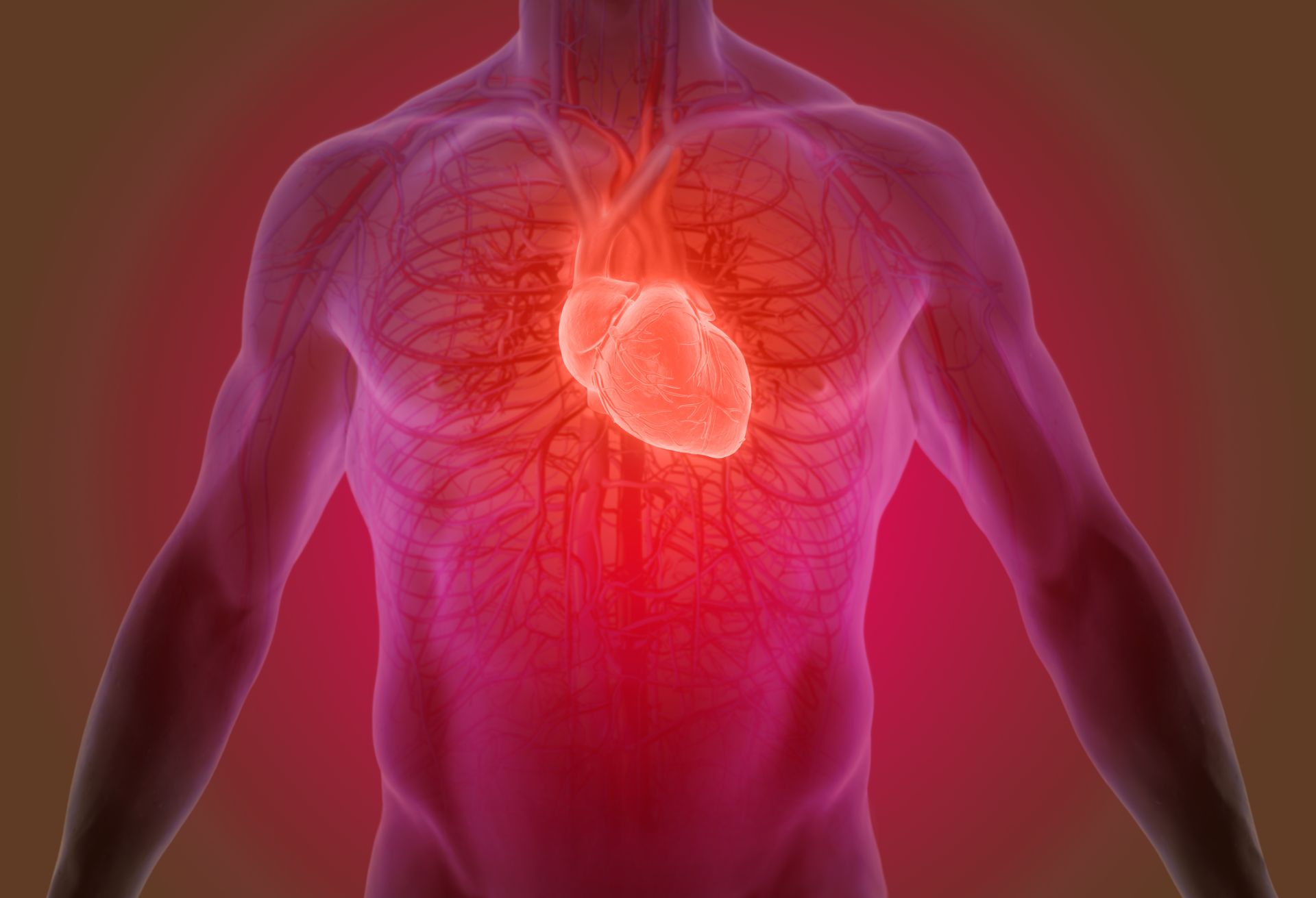 Cos'è il soffio al cuore e le regole da seguire per curarlo - Humanitas ...